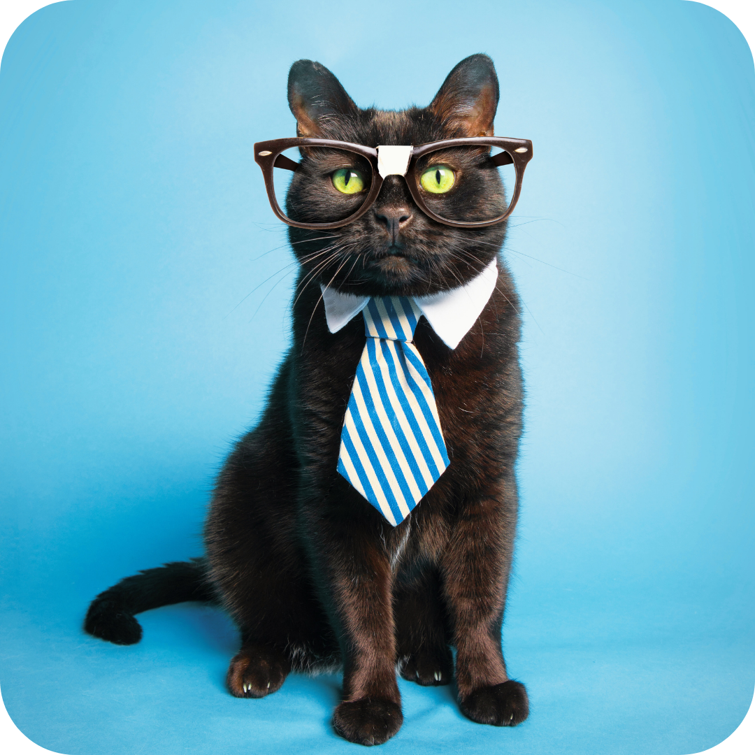 Main Services - Dad Accountant - New Zealand